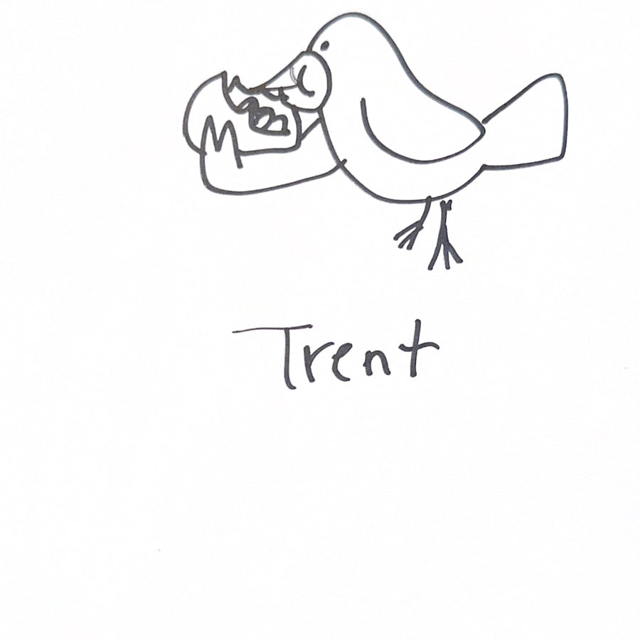 Drawing Requests – Drawings By Trent